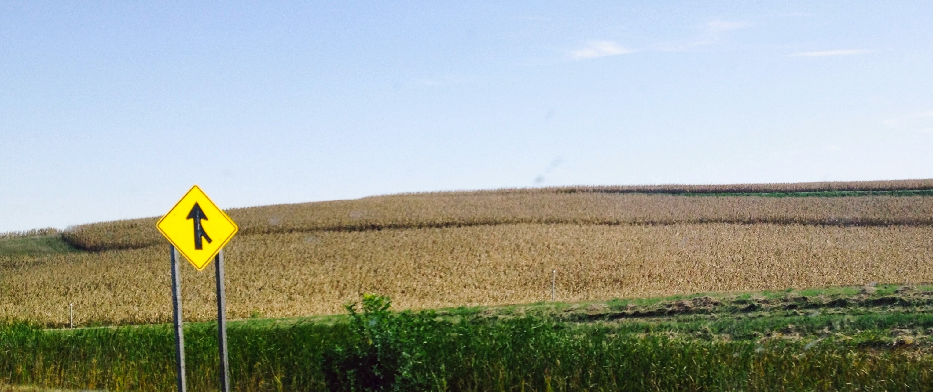 Iowa Cornfields Forever – Road Trip Whee!